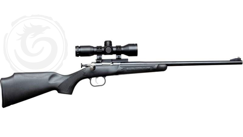 Keystone Crickett 22 LR Single Shot Rifle Package - KSA2240PKG » Tenda ...