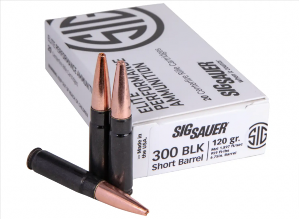 Sig Sauer SBR 300 AAC Blackout 120 Gr Solid Copper Box of 20 » Tenda Canada