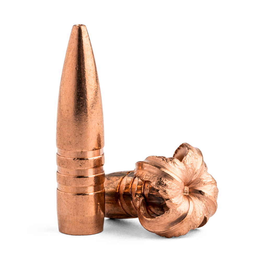 Barnes TSX 7.62x39 (.310 Dia.) 123 Gr HP BT Bullets Box of 50 » Tenda ...